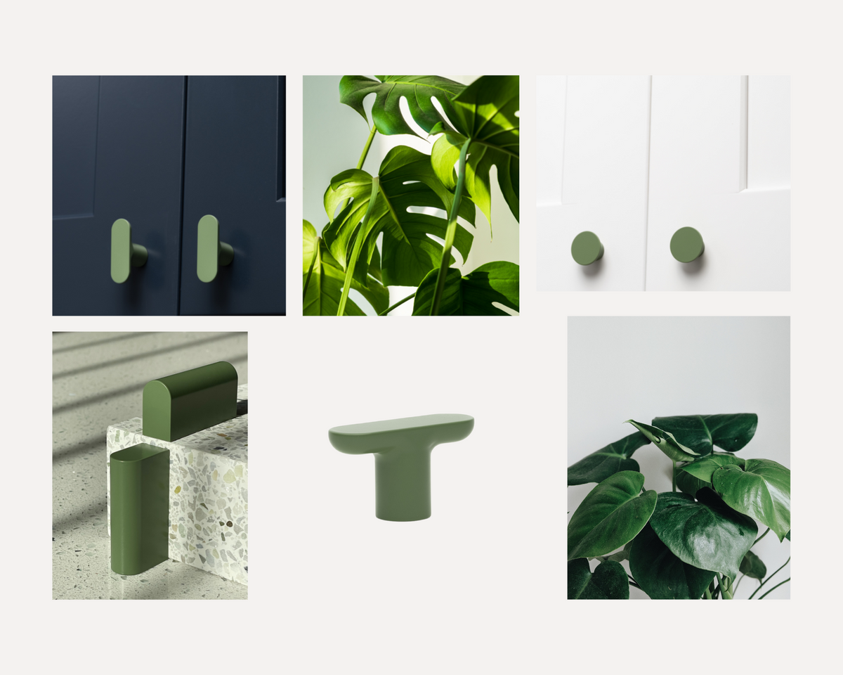 Olive Colored Hardware + Indoor Plants | Rous Hardware